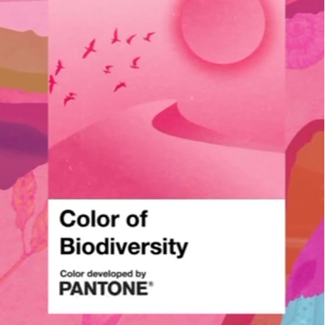 @pantone | Linktree
